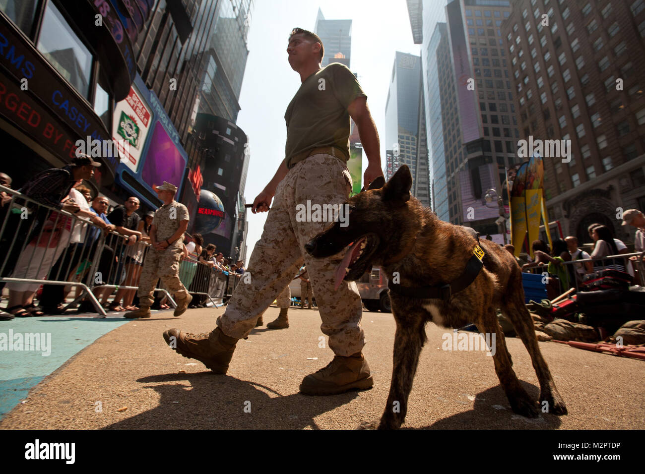 Army dog handler dog cpl hi-res stock photography and images - Alamy