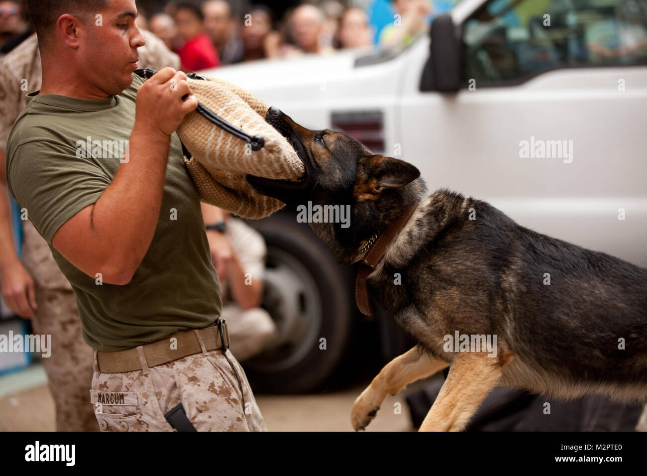 NEW YORK -- Cpl. Andrew Marcum, military working dog handler, 24th ...