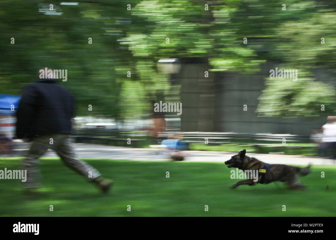 Military working dog bites hi-res stock photography and images - Alamy
