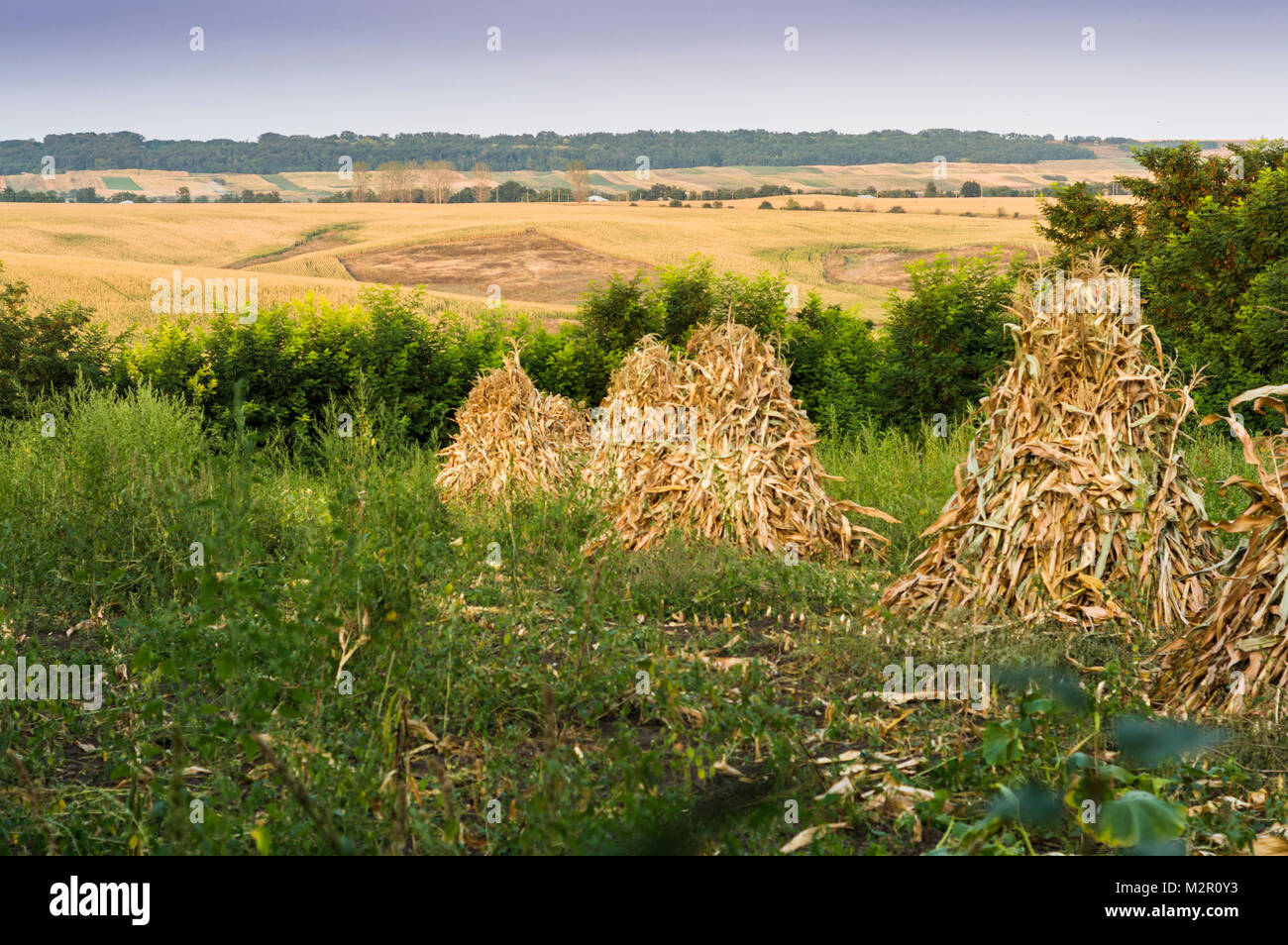 Rural scenery in Moldavia in the north east of Romania. Fields of dry ...