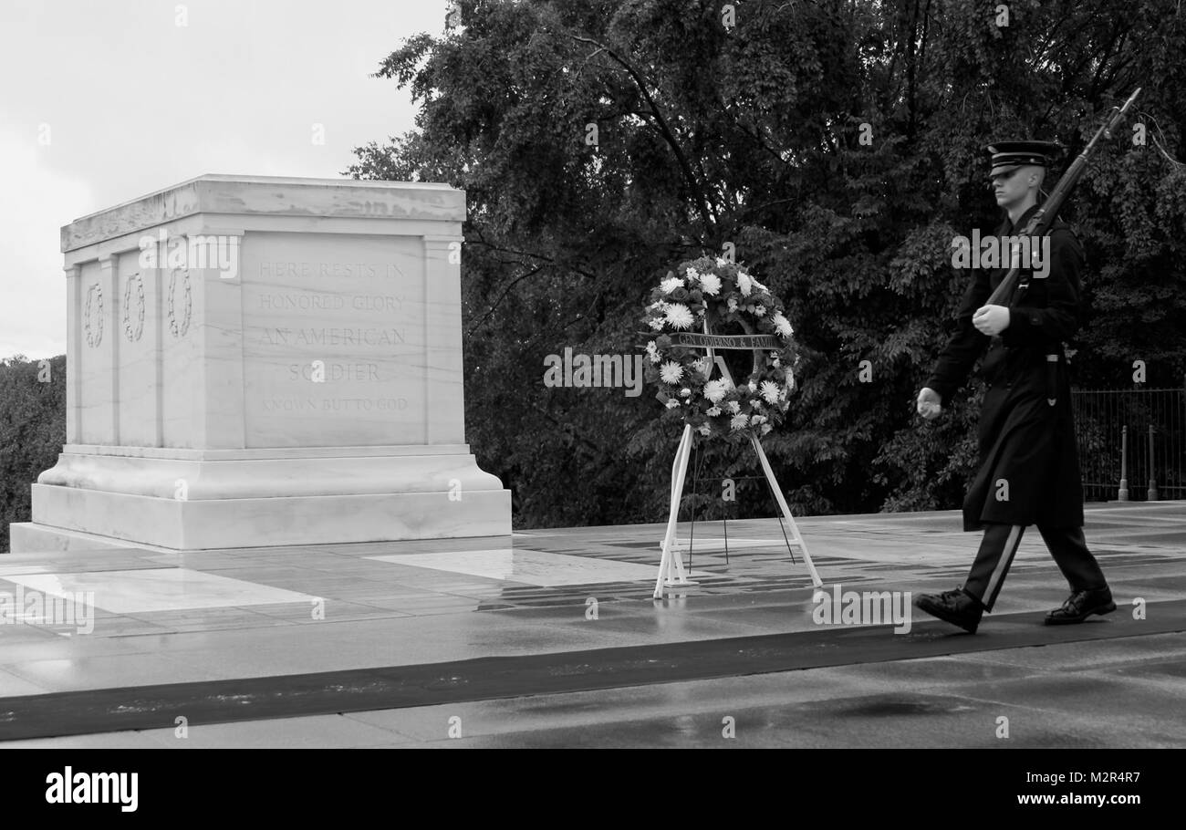 A Tomb Sentinel from the Old Guard passes in front of the Tomb of the ...