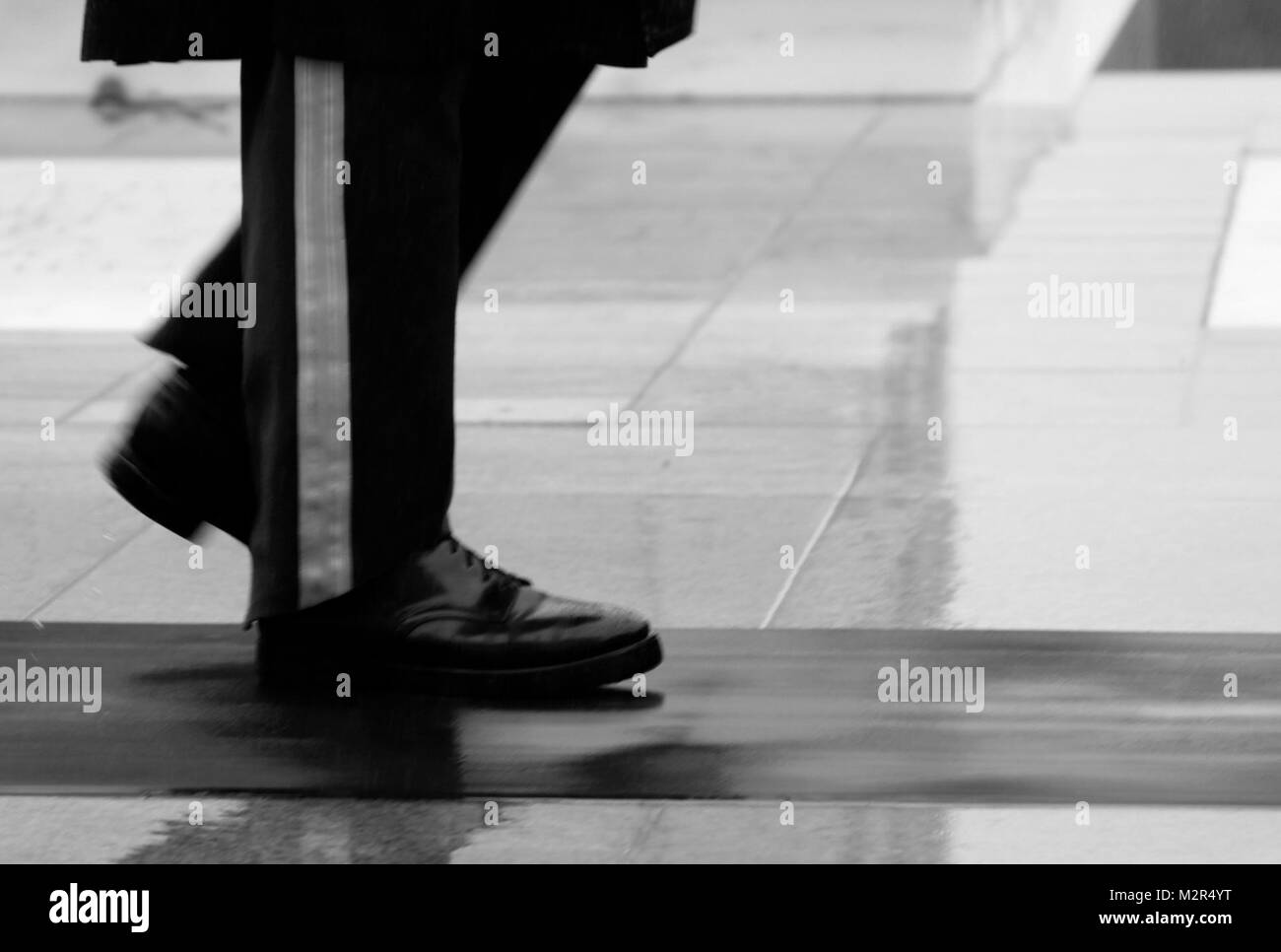 A Tomb Sentinel from the Old Guard passes in front of the Tomb of the ...