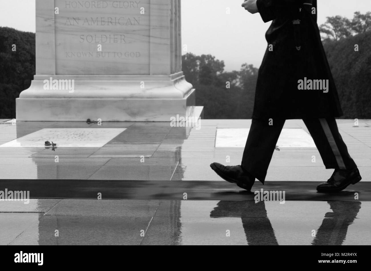 A Tomb Sentinel from the Old Guard passes in front of the Tomb of the ...