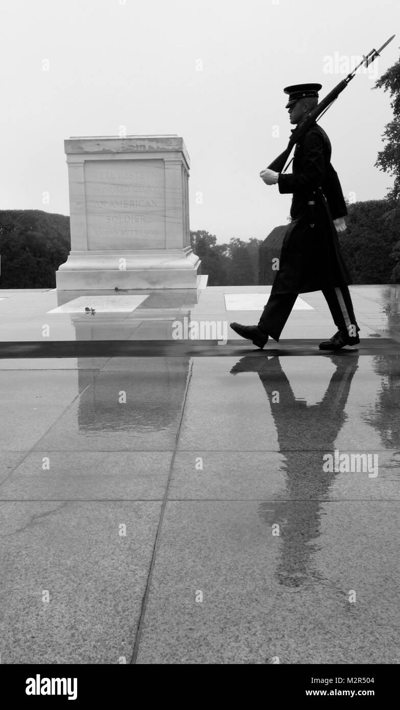 A Tomb Sentinel from the Old Guard passes in front of the Tomb of the ...