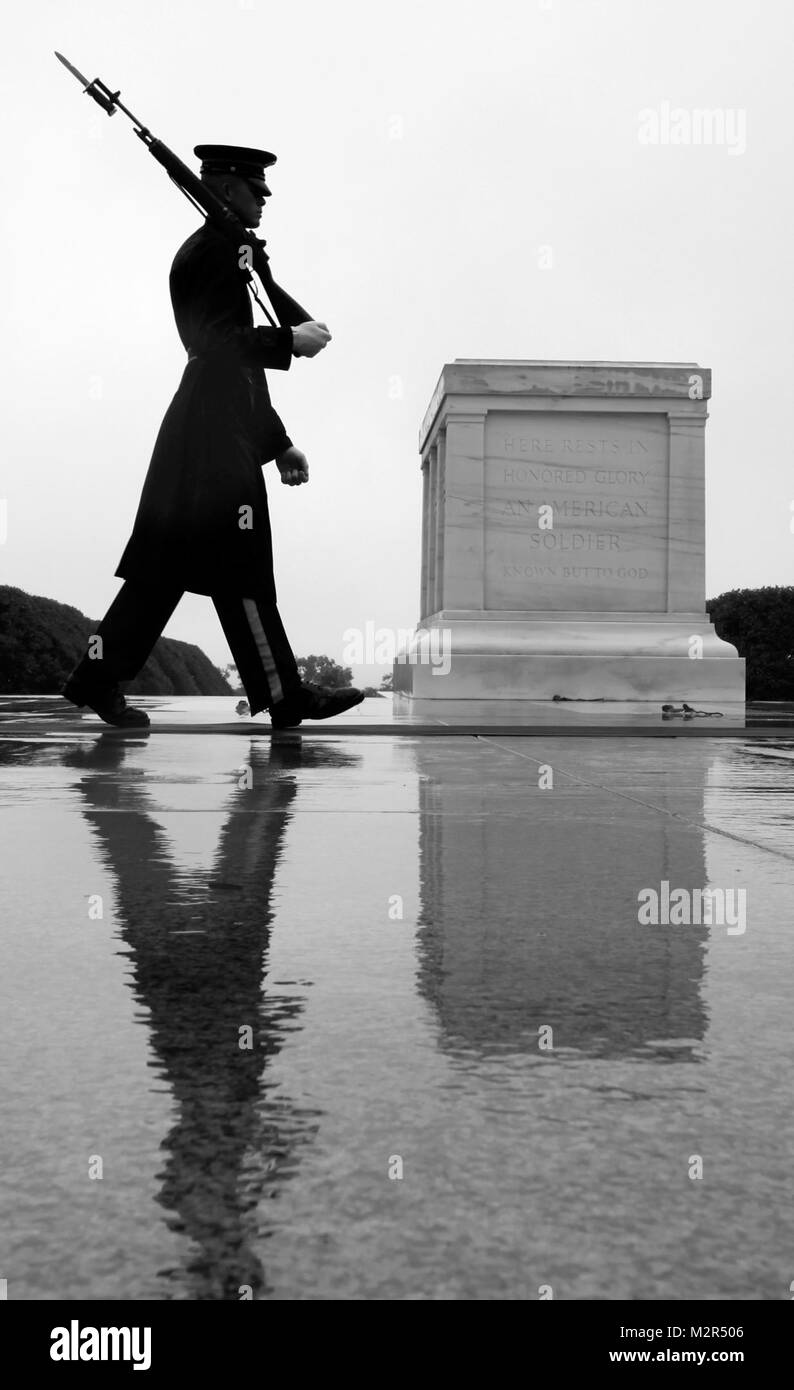 A Tomb Sentinel from the Old Guard passes in front of the Tomb of the ...