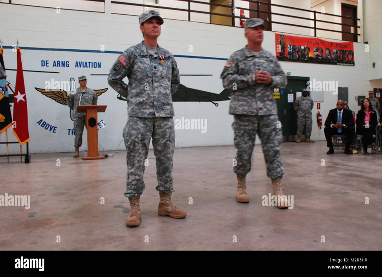 Meritorious Service Medal (MSM) by Delaware National Guard Stock Photo ...