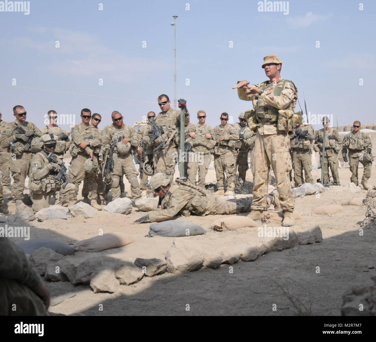 Task force arctic wolves hi-res stock photography and images - Alamy