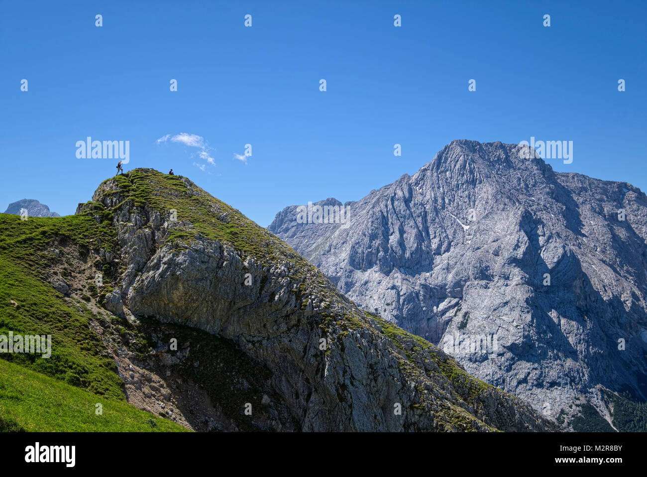 Meadow step hi-res stock photography and images - Alamy