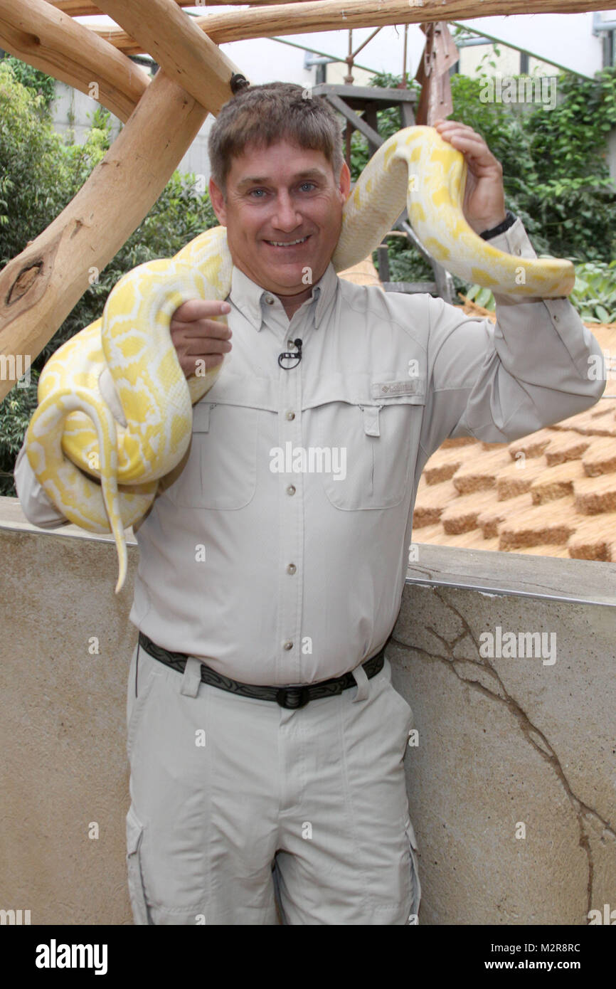 Tigerpython High Resolution Stock Photography and Images - Alamy
