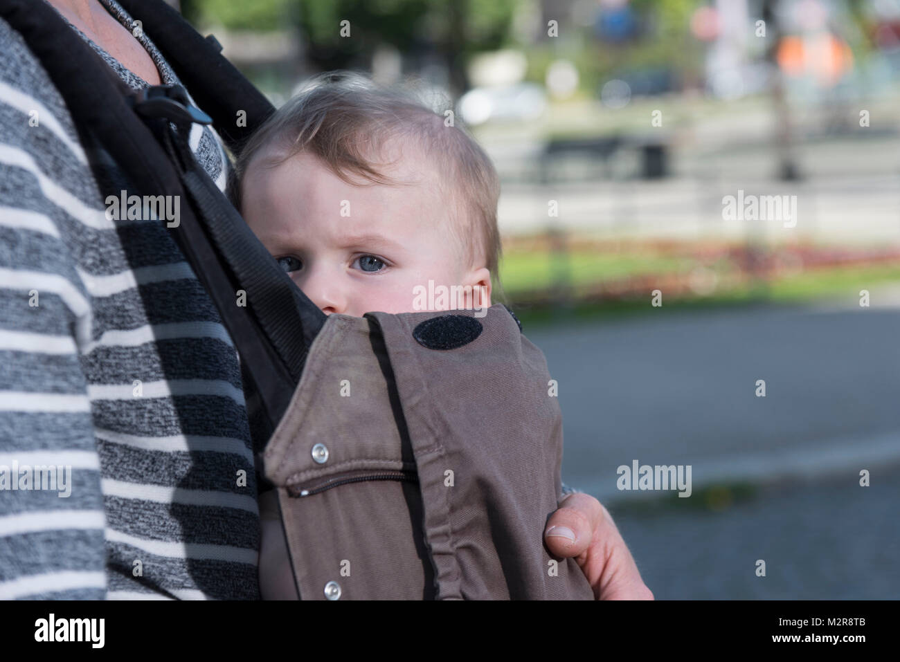 Father carries baby in the baby carrier, close up Stock Photo - Alamy