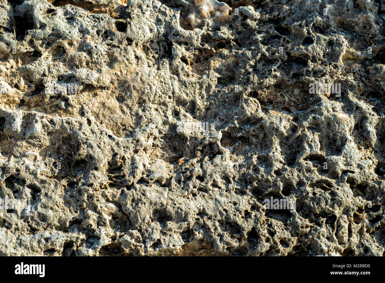 organic rock texture, background Stock Photo - Alamy