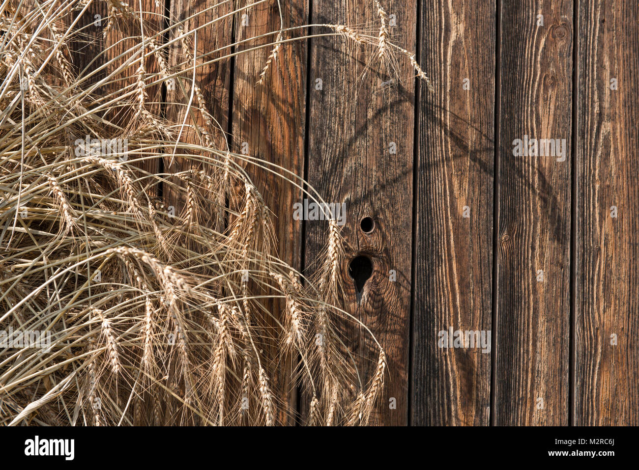Grain drying at a barn Stock Photo - Alamy