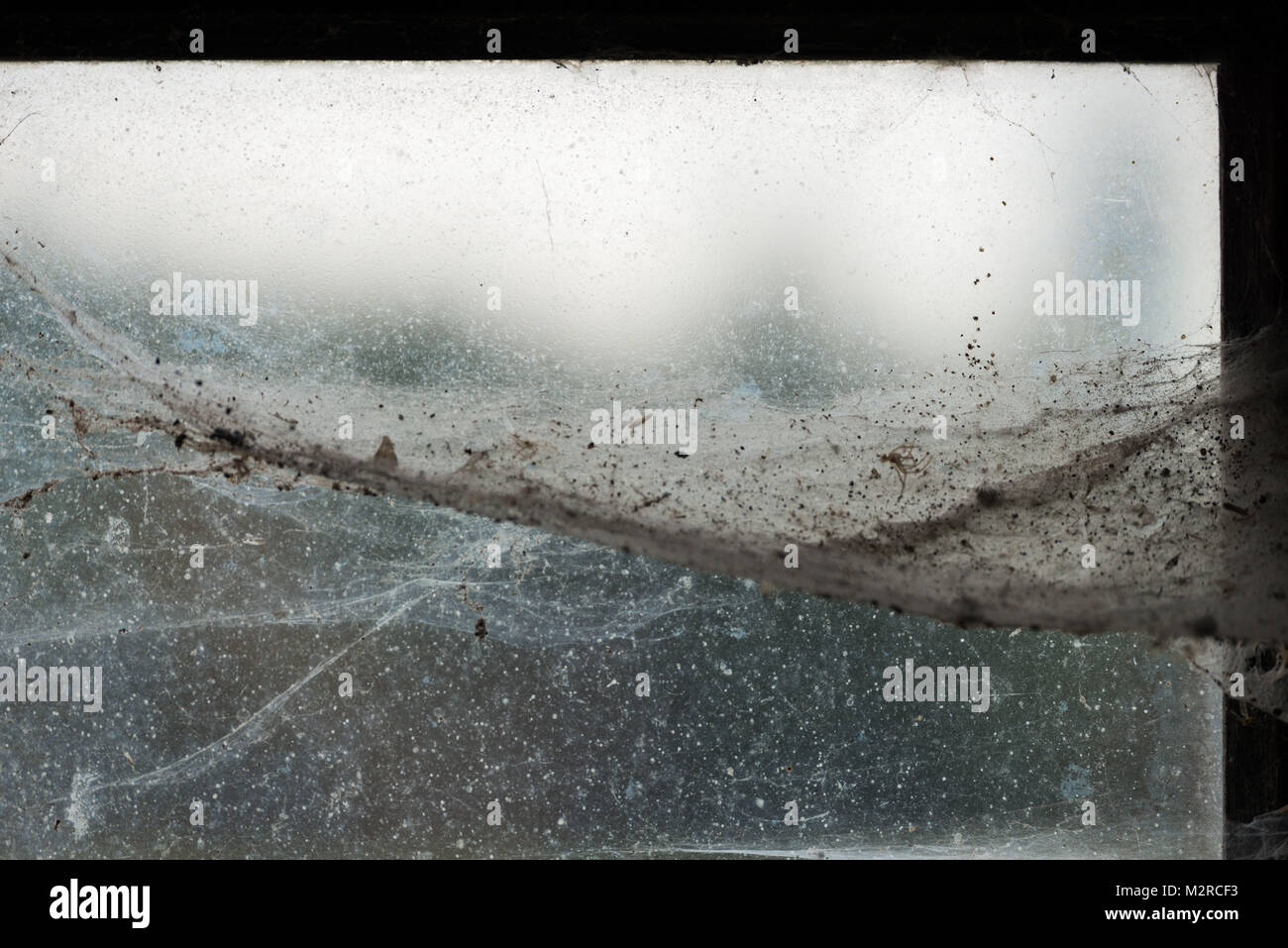 Spider webs at a window Stock Photo - Alamy