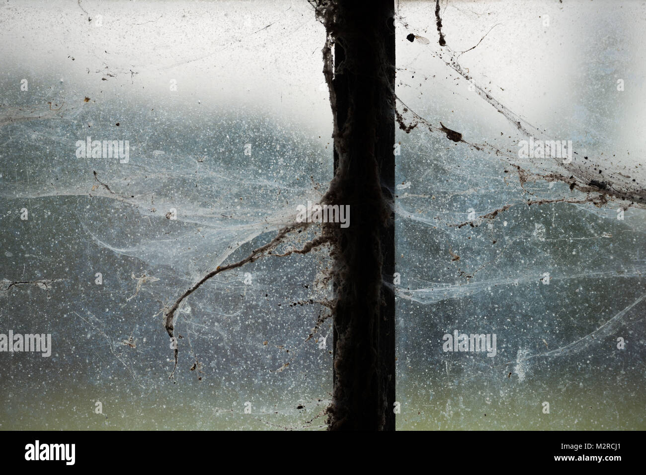 Spider webs at a window Stock Photo - Alamy