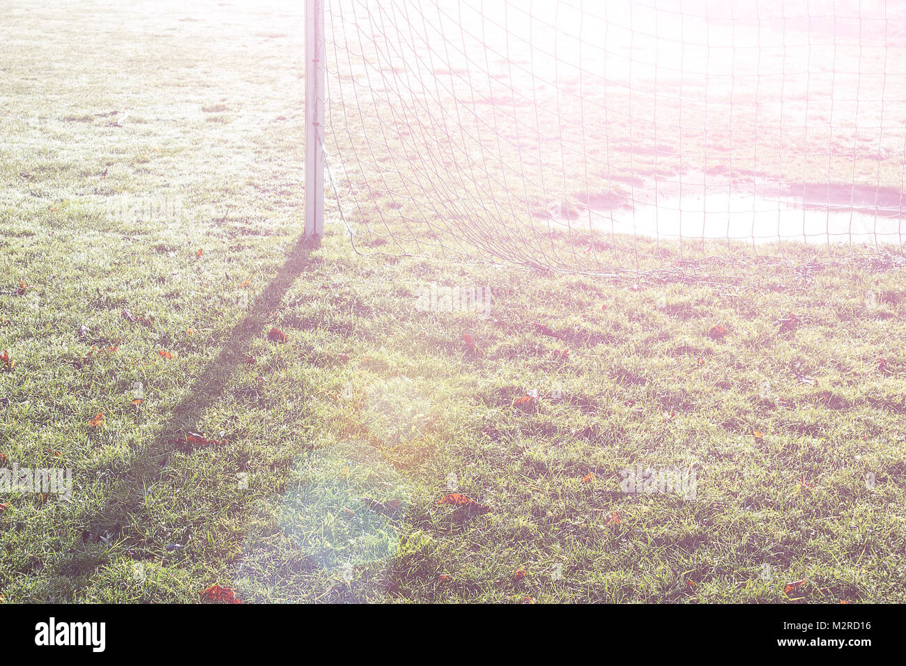 Goal back hi-res stock photography and images - Alamy