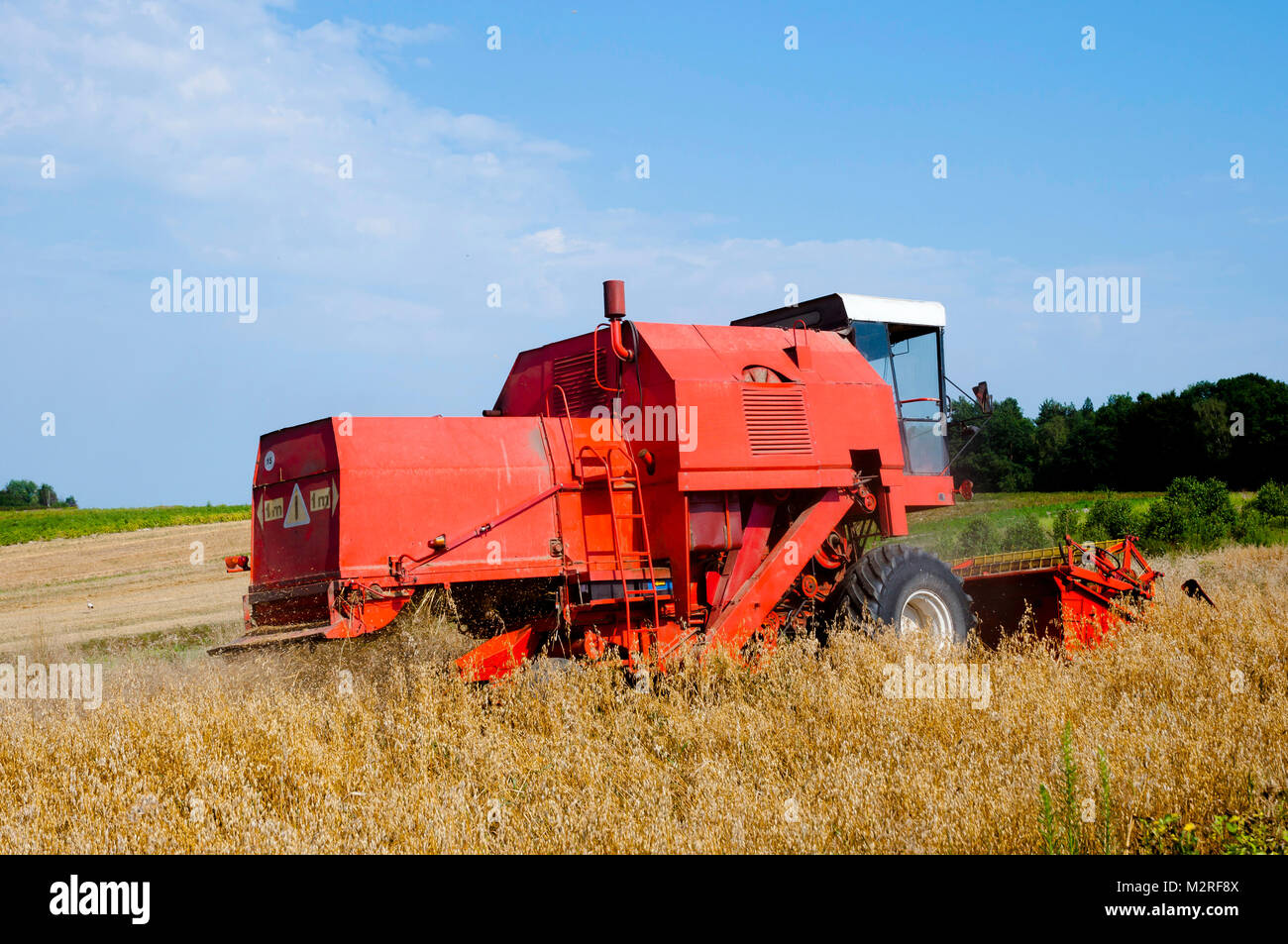 Bizon hi-res stock photography and images - Alamy