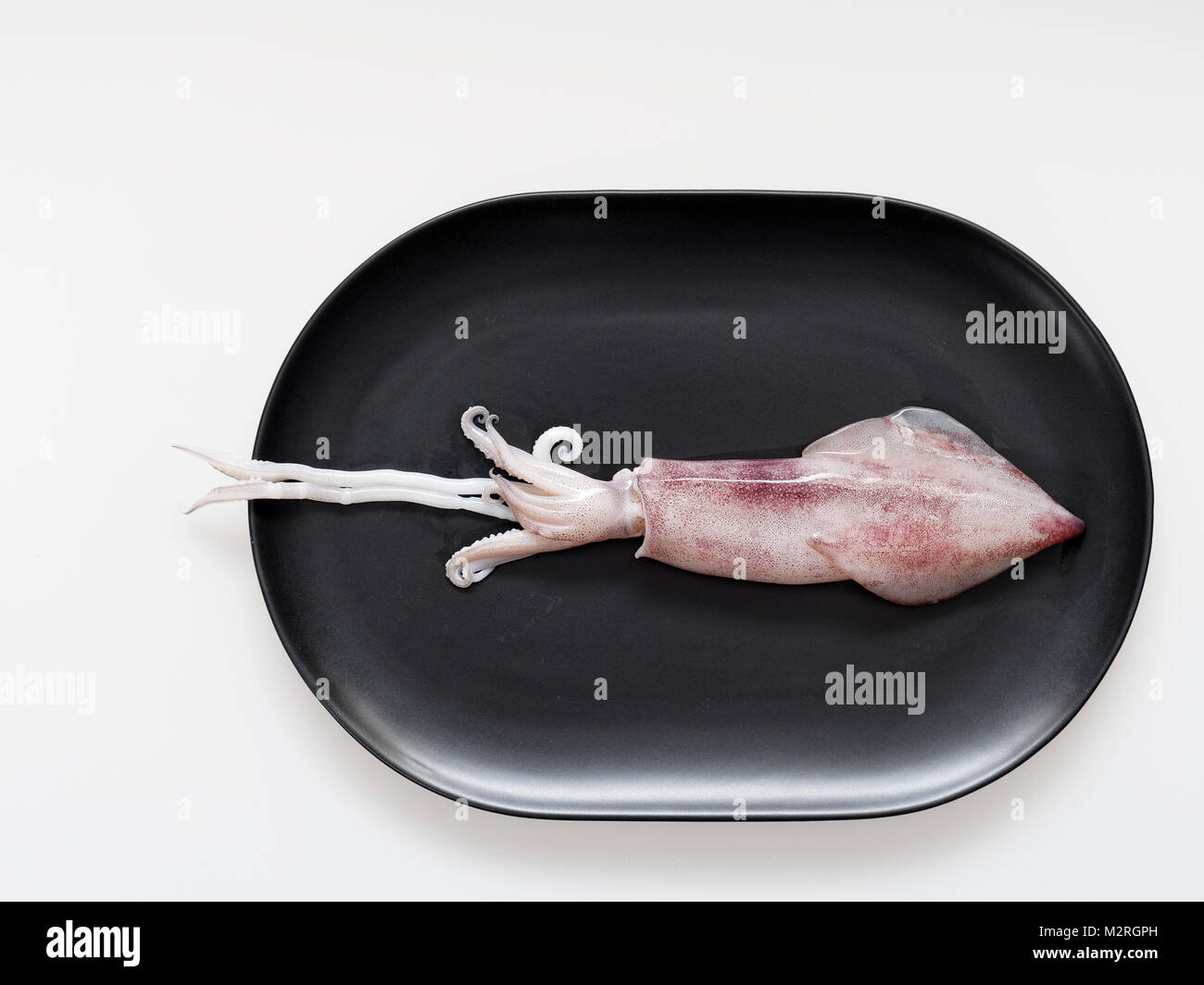 Raw squid or cuttlefish on black oval plate isolated on white ...