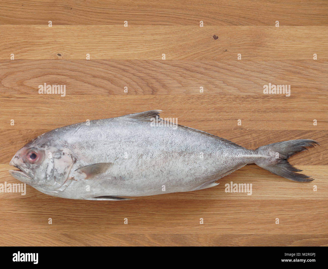 Raw trevally fish on wooden cutting board background Stock Photo - Alamy