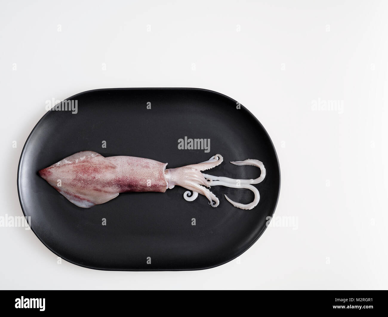 Raw squid or cuttlefish on black oval plate isolated on white ...