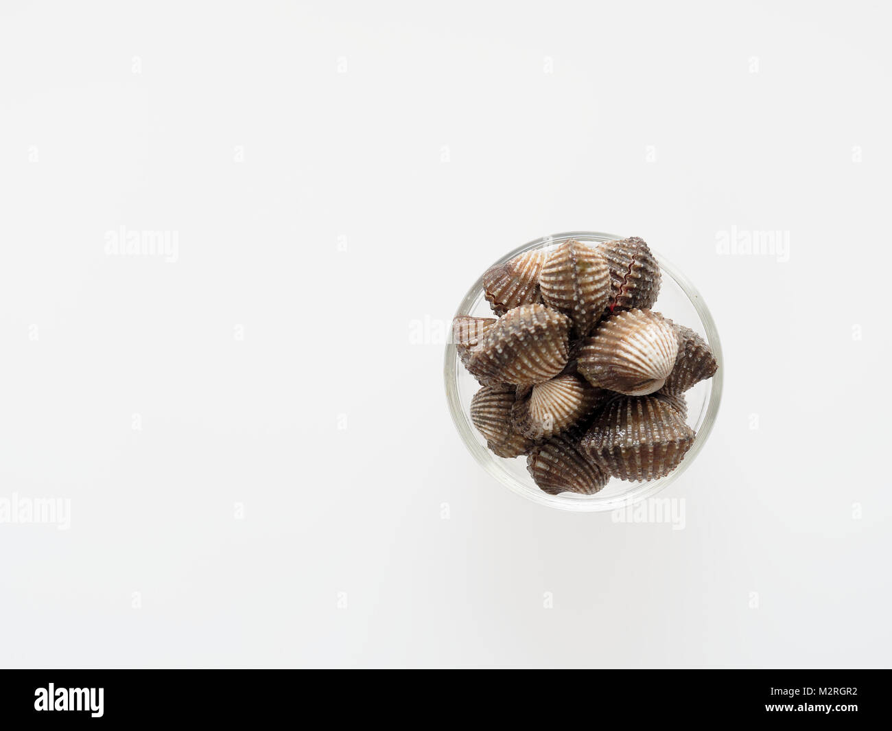 A group of raw cockle, ark shell, in a glass bowl isolated on white ...