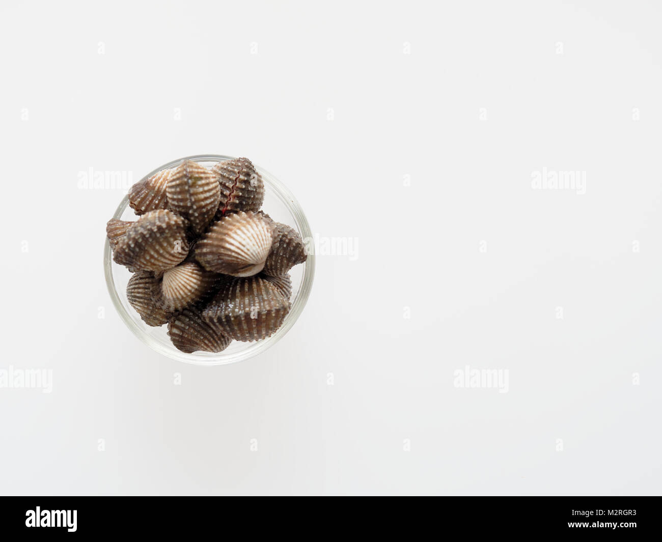 A group of raw cockle, ark shell, in a glass bowl isolated on white ...