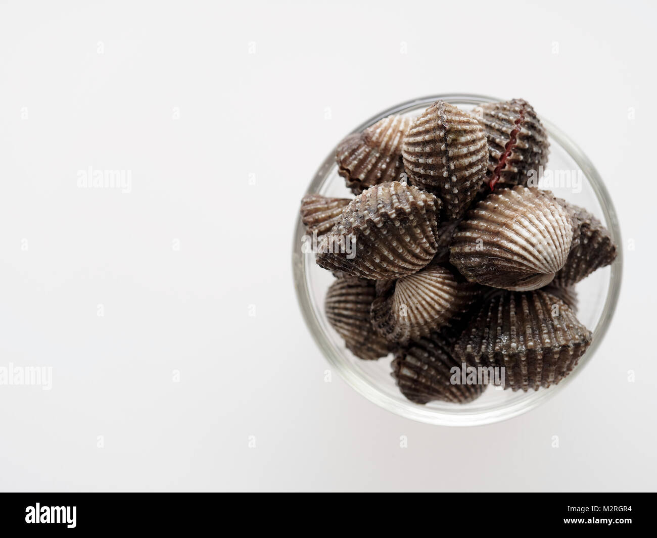 A group of raw cockle, ark shell, in a glass bowl isolated on white ...