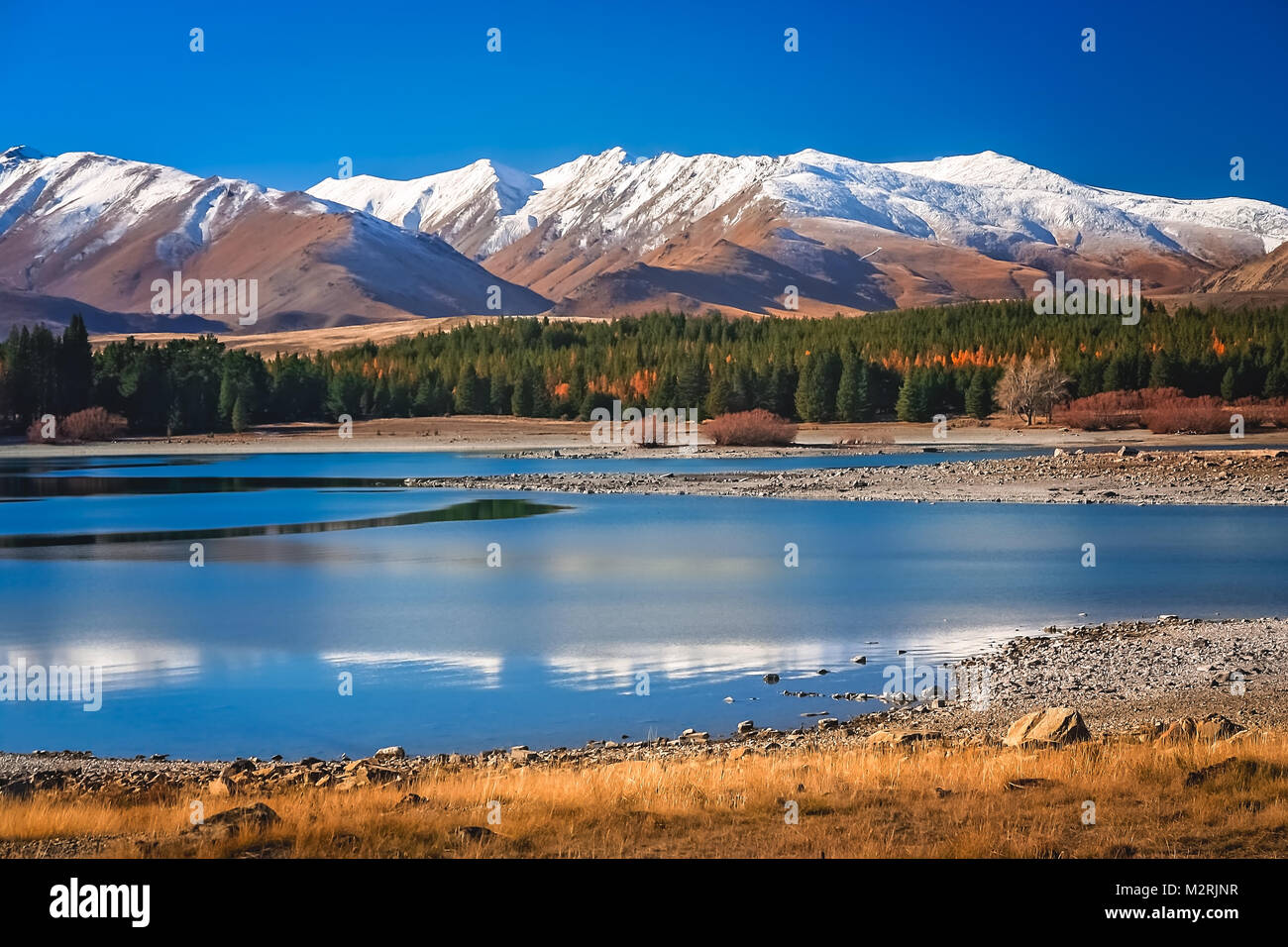 Mackenzie country new zealand hi-res stock photography and images - Alamy