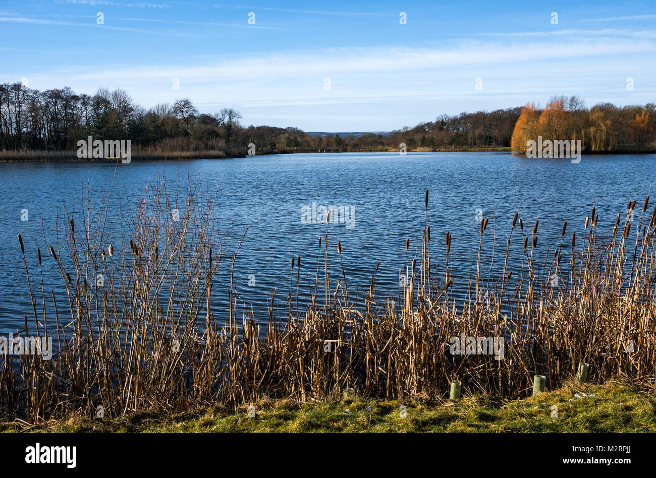 Fishing lake on site of former gravel extraction quarry, Kiplin Hall ...