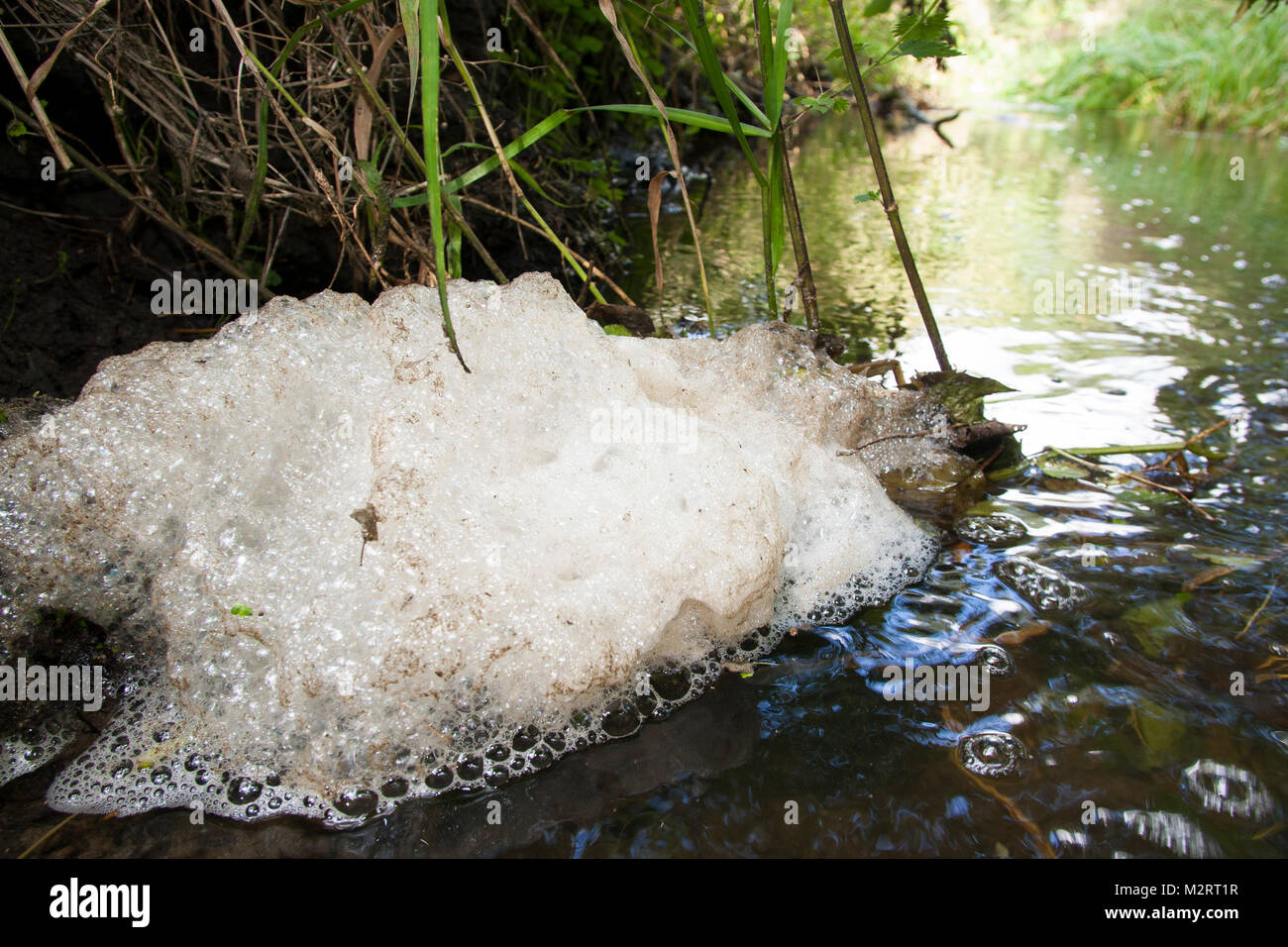 Schaum hi-res stock photography and images - Alamy
