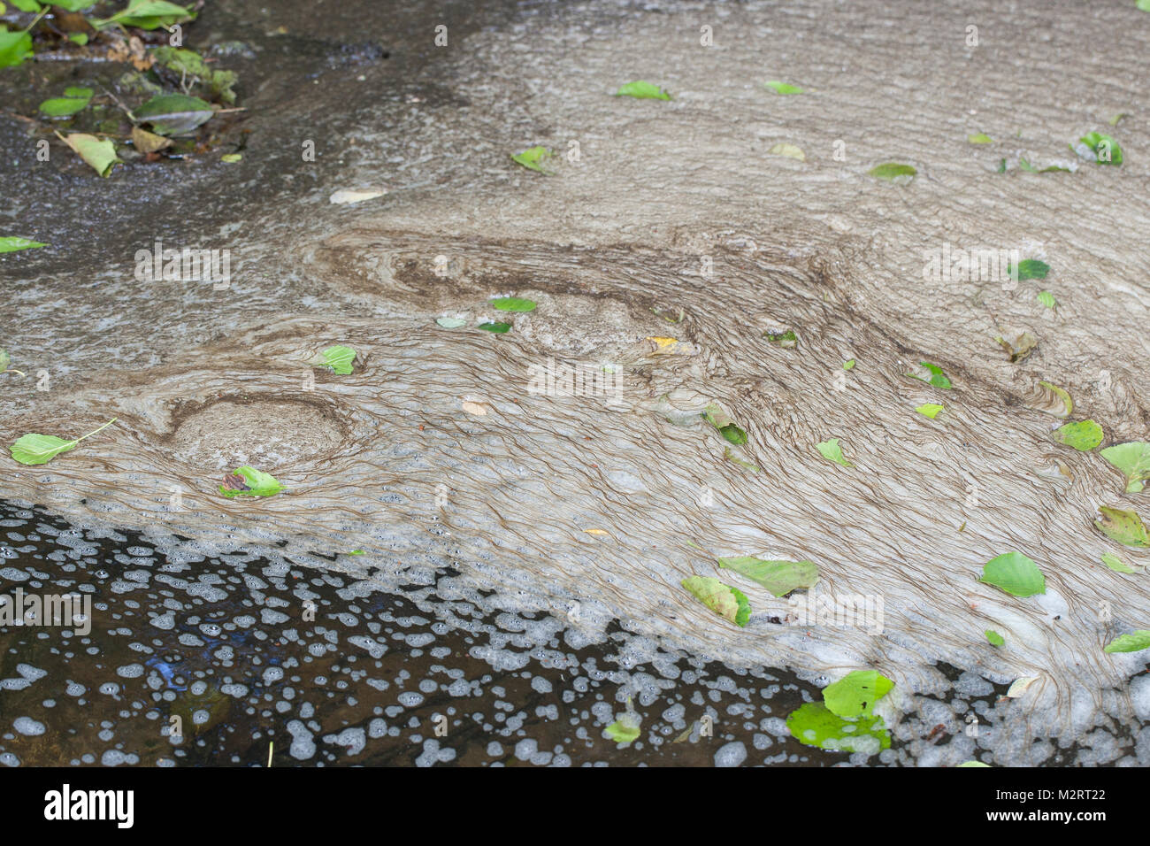 Scum hi-res stock photography and images - Alamy