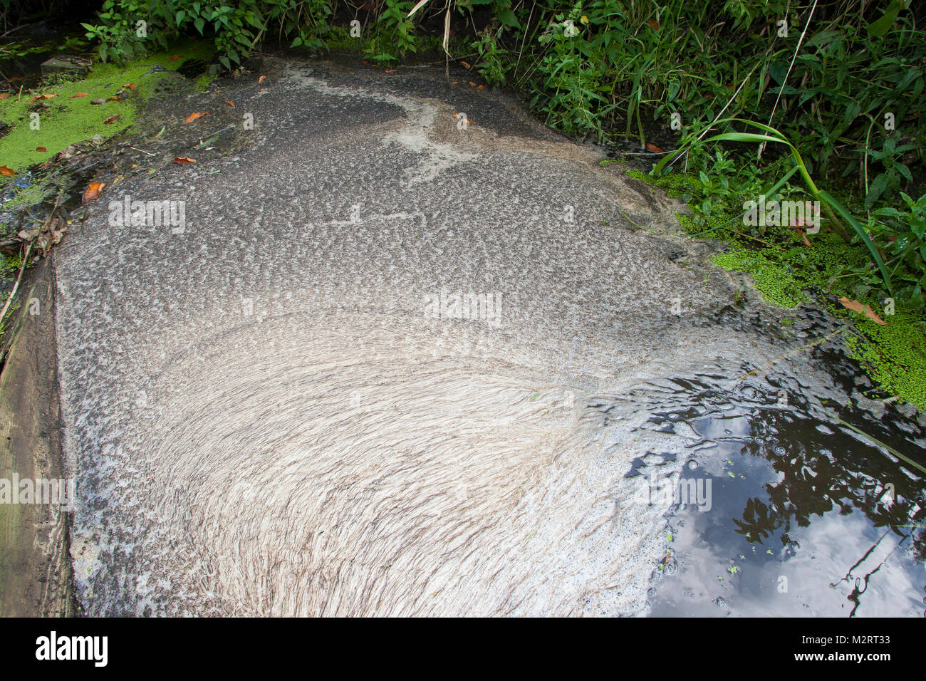 Schaum hi-res stock photography and images - Alamy