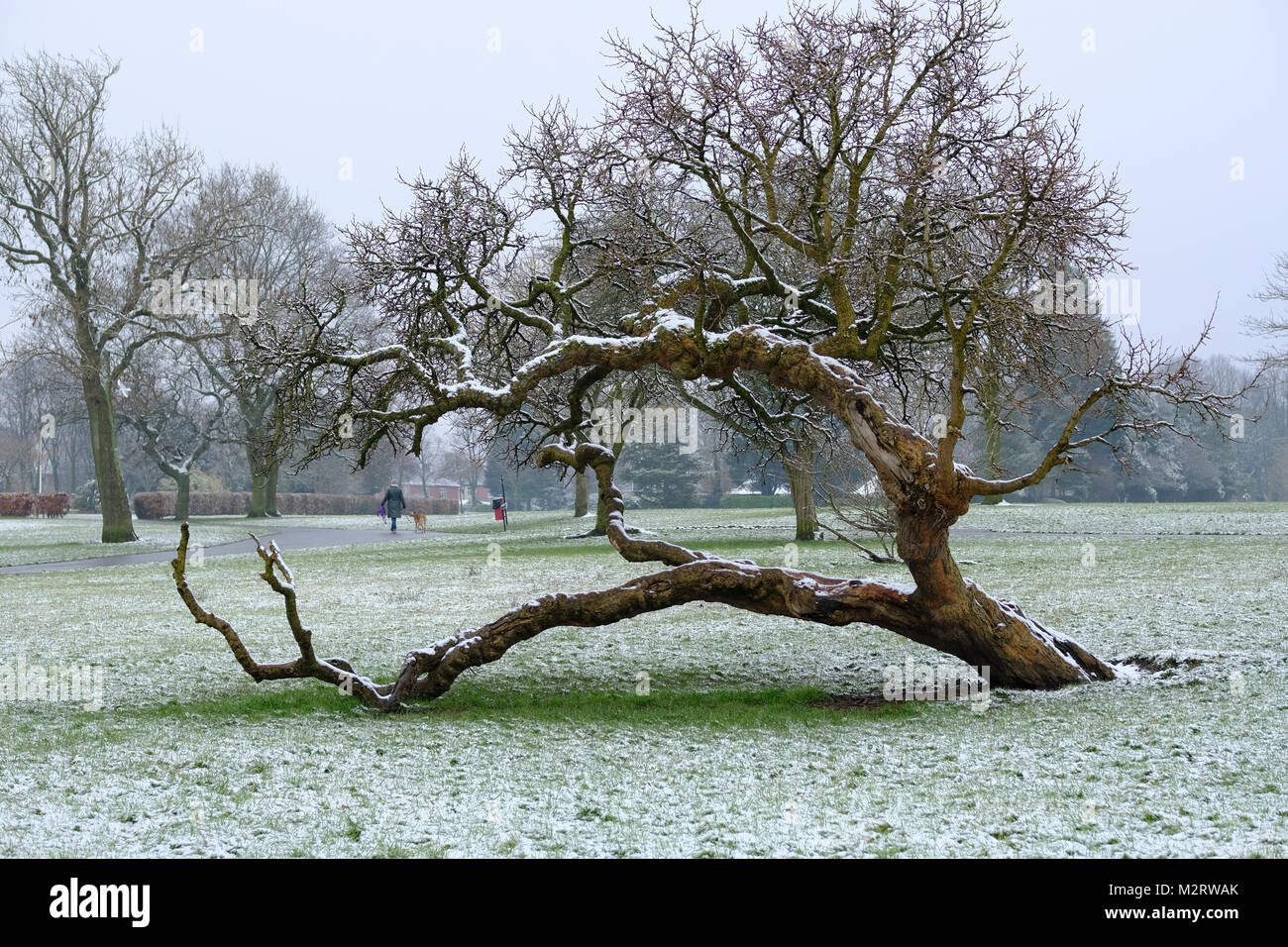 Winter scene in Preston's Haslam Park Stock Photo - Alamy