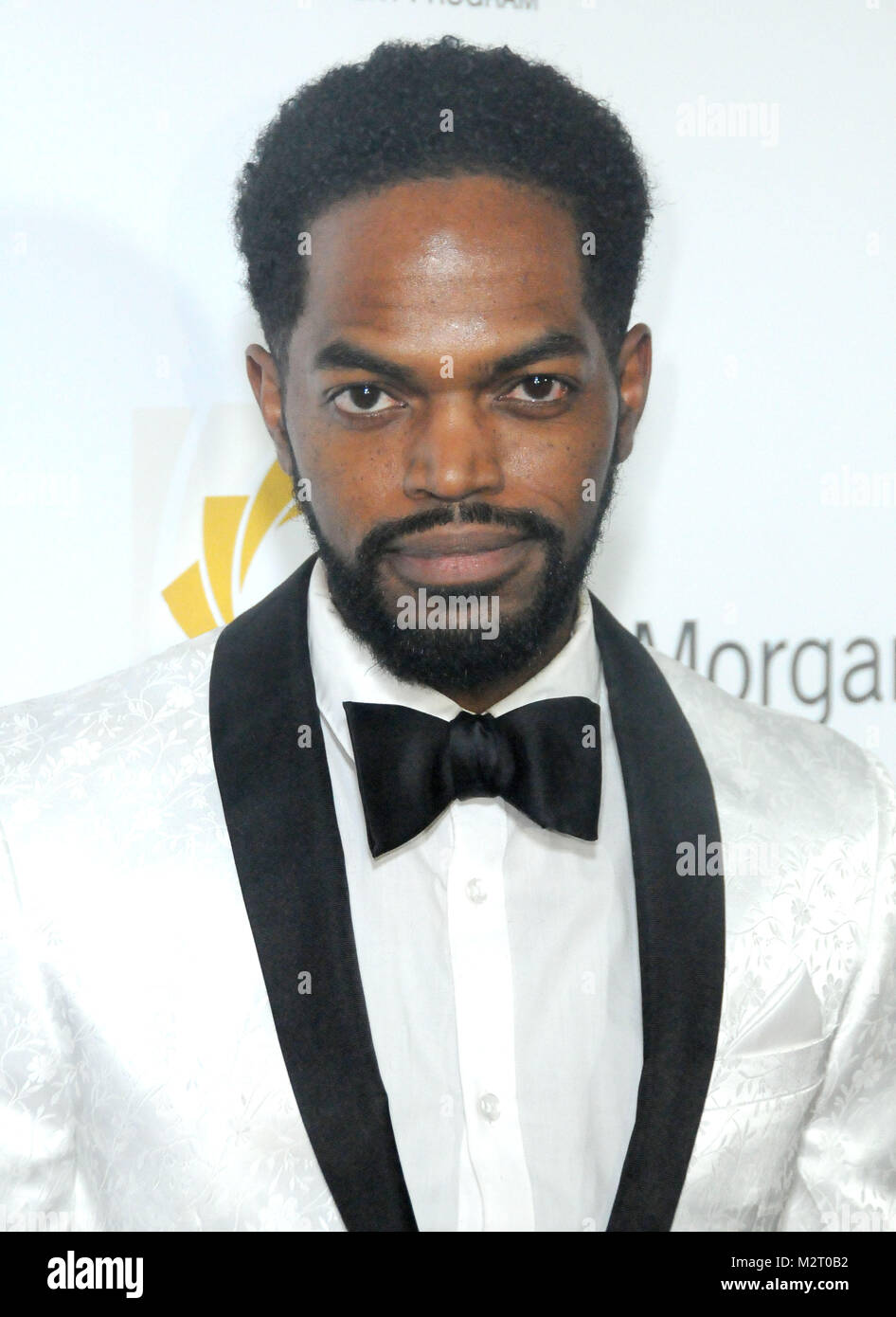 Los Angeles, California, USA. 7th February, 2018. Actor Hari Williams ...