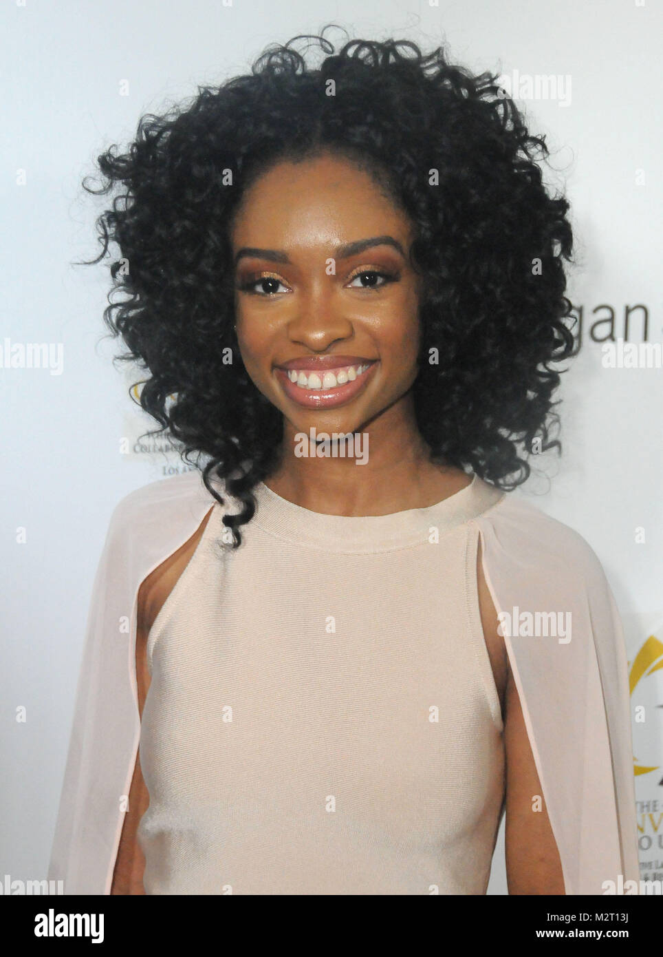 LOS ANGELES, CA - FEBRUARY 7: Actress Armani Martin attends the 9th ...