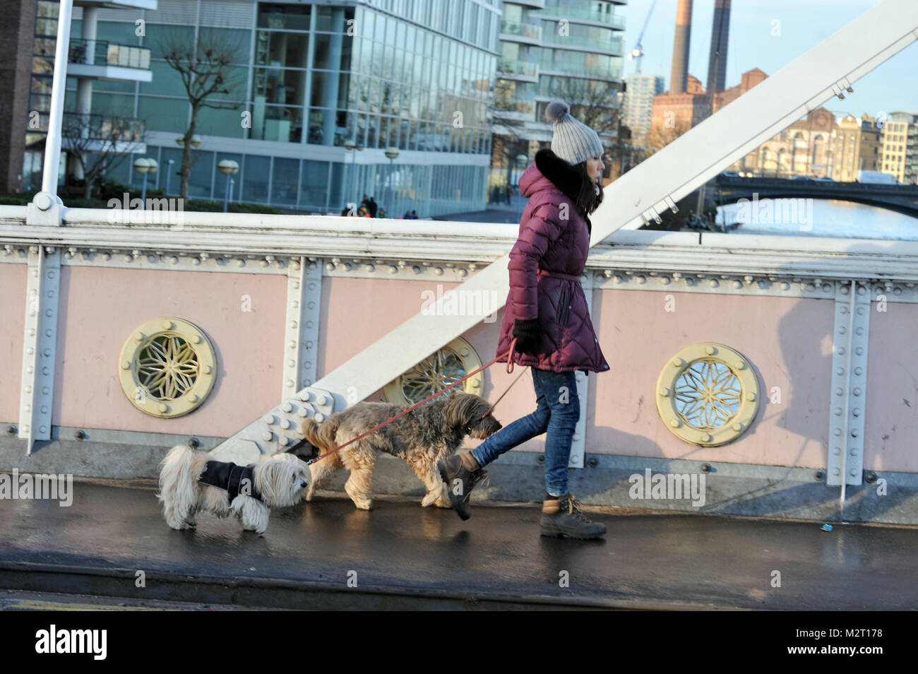 London, UK, 8 February 2018 Cold morning in London as temperatures drop ...