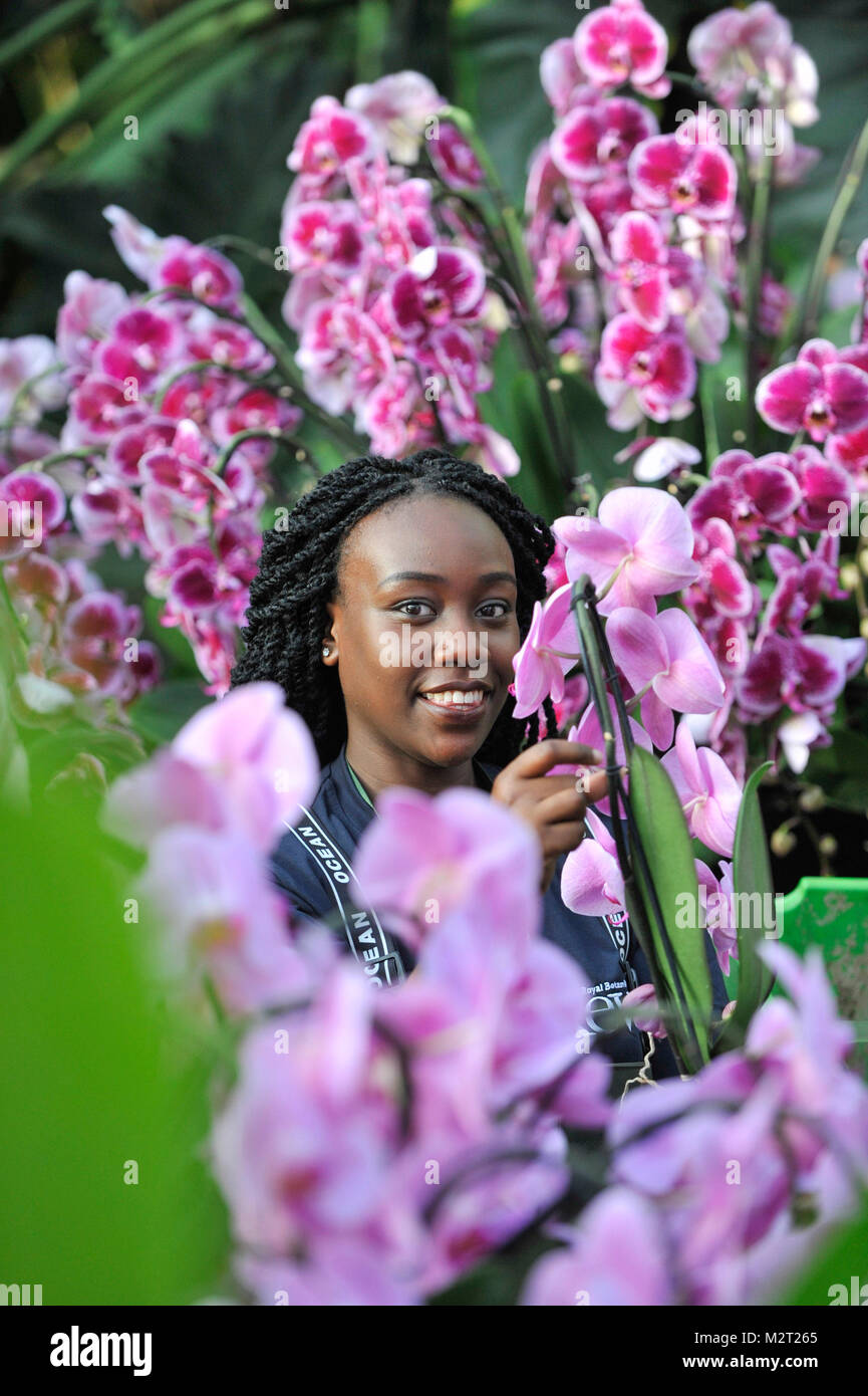 London, UK. 8 February 2018. Yasmin Akrofi-Rollock, Kew apprentice ...