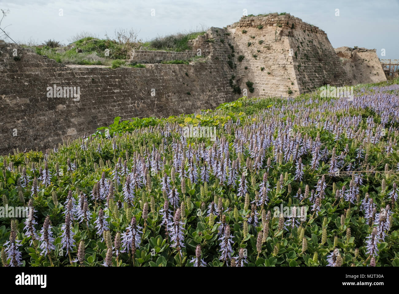 Caesarea, Israel. 8th February, 2018. Crusader era fortifications at ...
