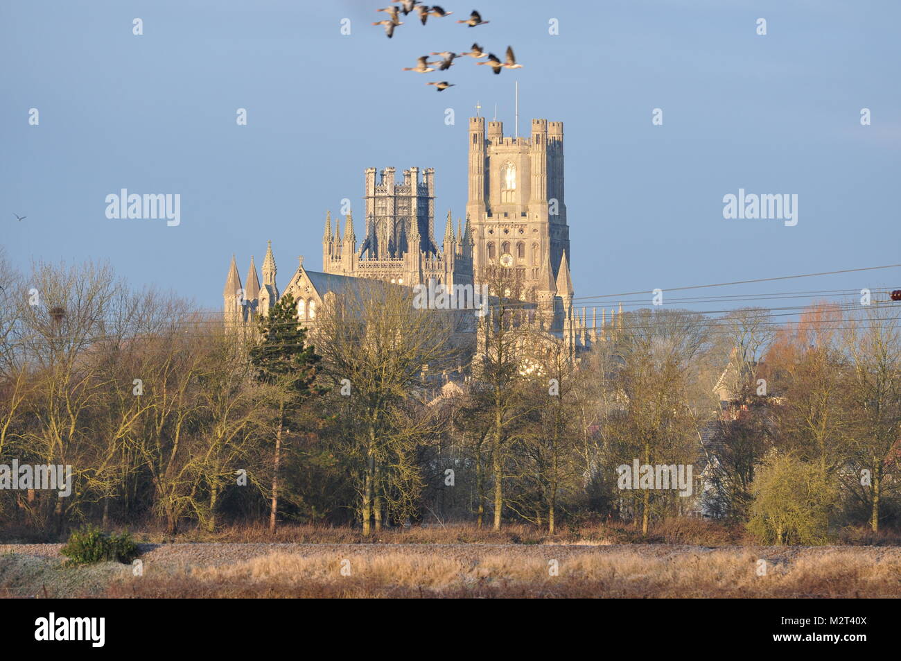 The isle of ely the isle of ely hi-res stock photography and images - Alamy