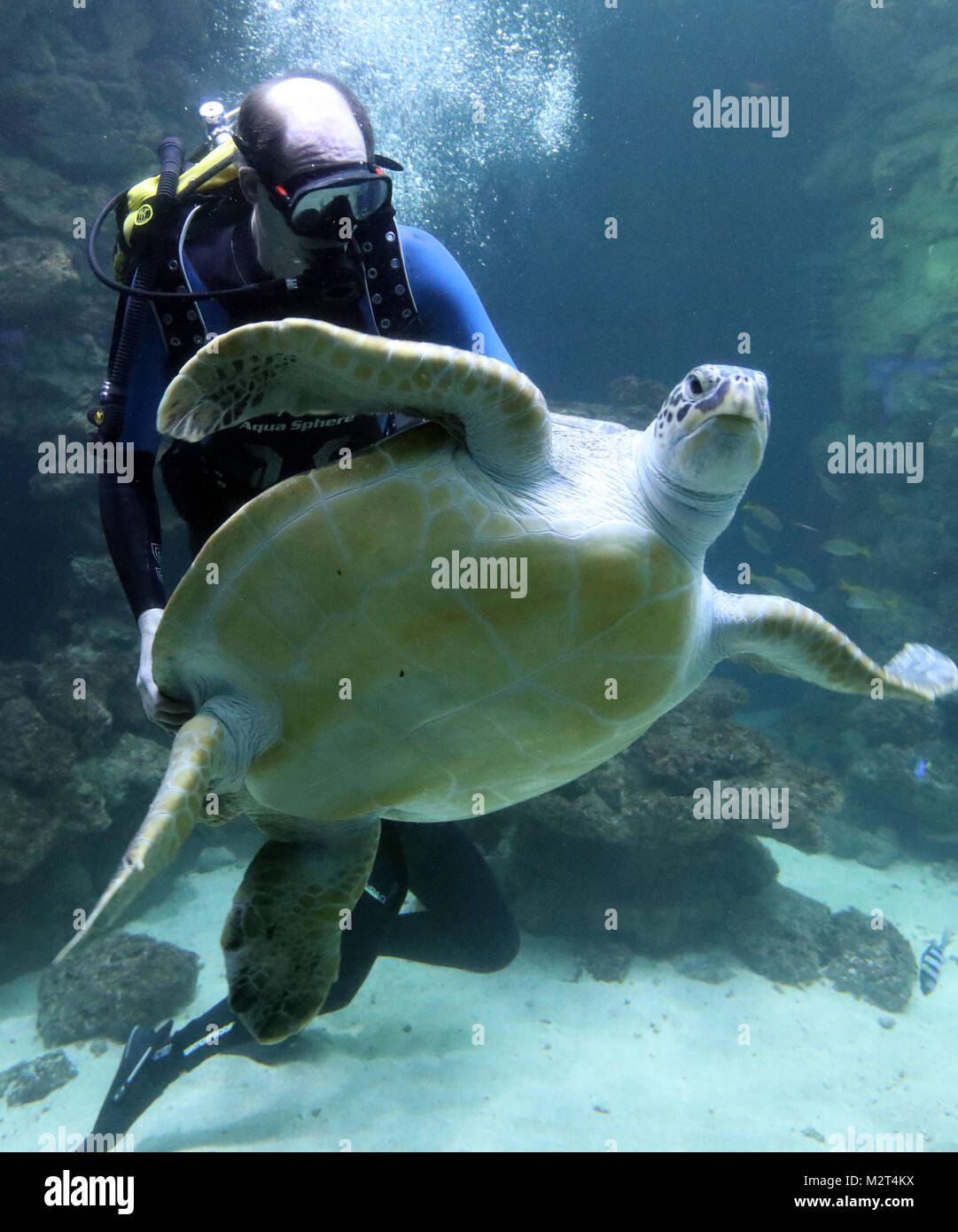 Ultrasound scanners hi-res stock photography and images - Alamy