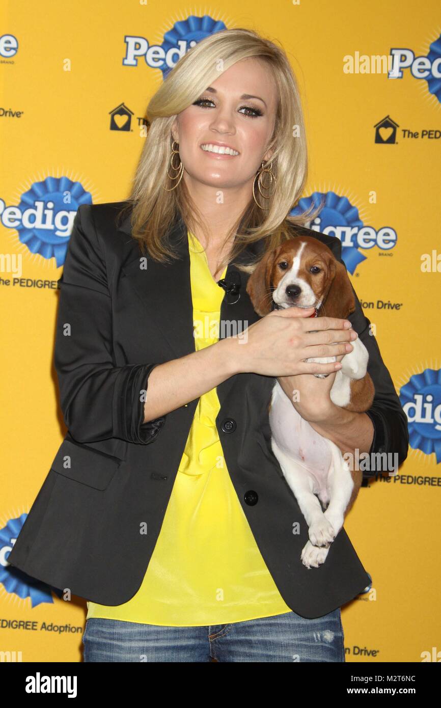 New York City CelebrityArchaeology.com 2010 FILE PHOTO CARRIE UNDERWOOD ...