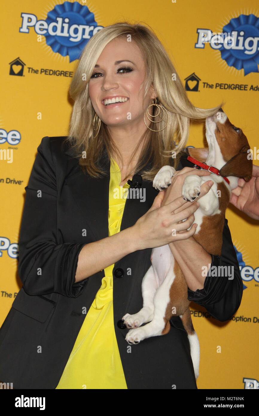 New York City CelebrityArchaeology.com 2010 FILE PHOTO CARRIE UNDERWOOD ...