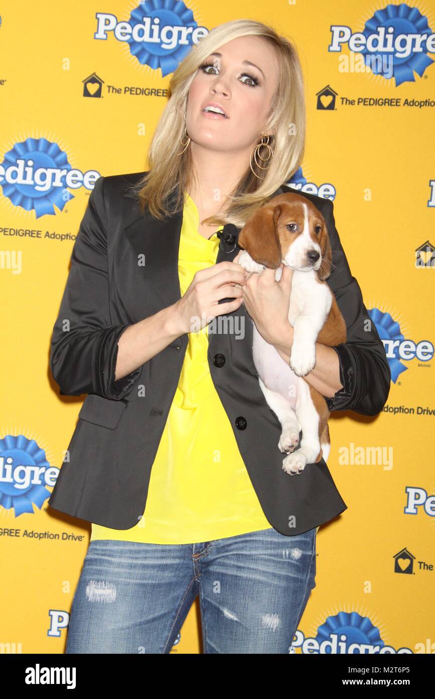 New York City CelebrityArchaeology.com 2010 FILE PHOTO CARRIE UNDERWOOD ...