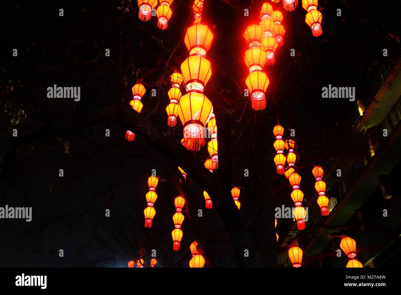 Xi'an, China. February 8, The lantern fair is held at Xi'an, northwest ...