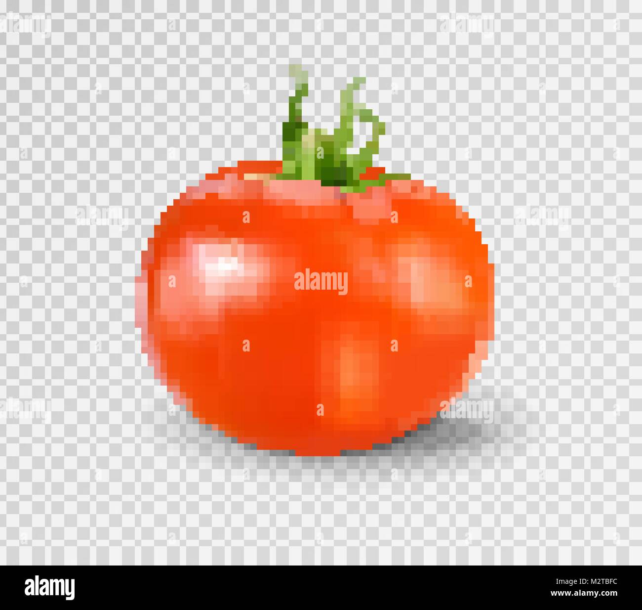 Red tomato. Realistic vector illustration Stock Vector Image & Art - Alamy