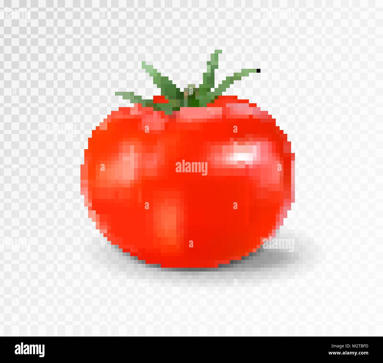 Red tomato. Realistic vector illustration Stock Vector Image & Art - Alamy