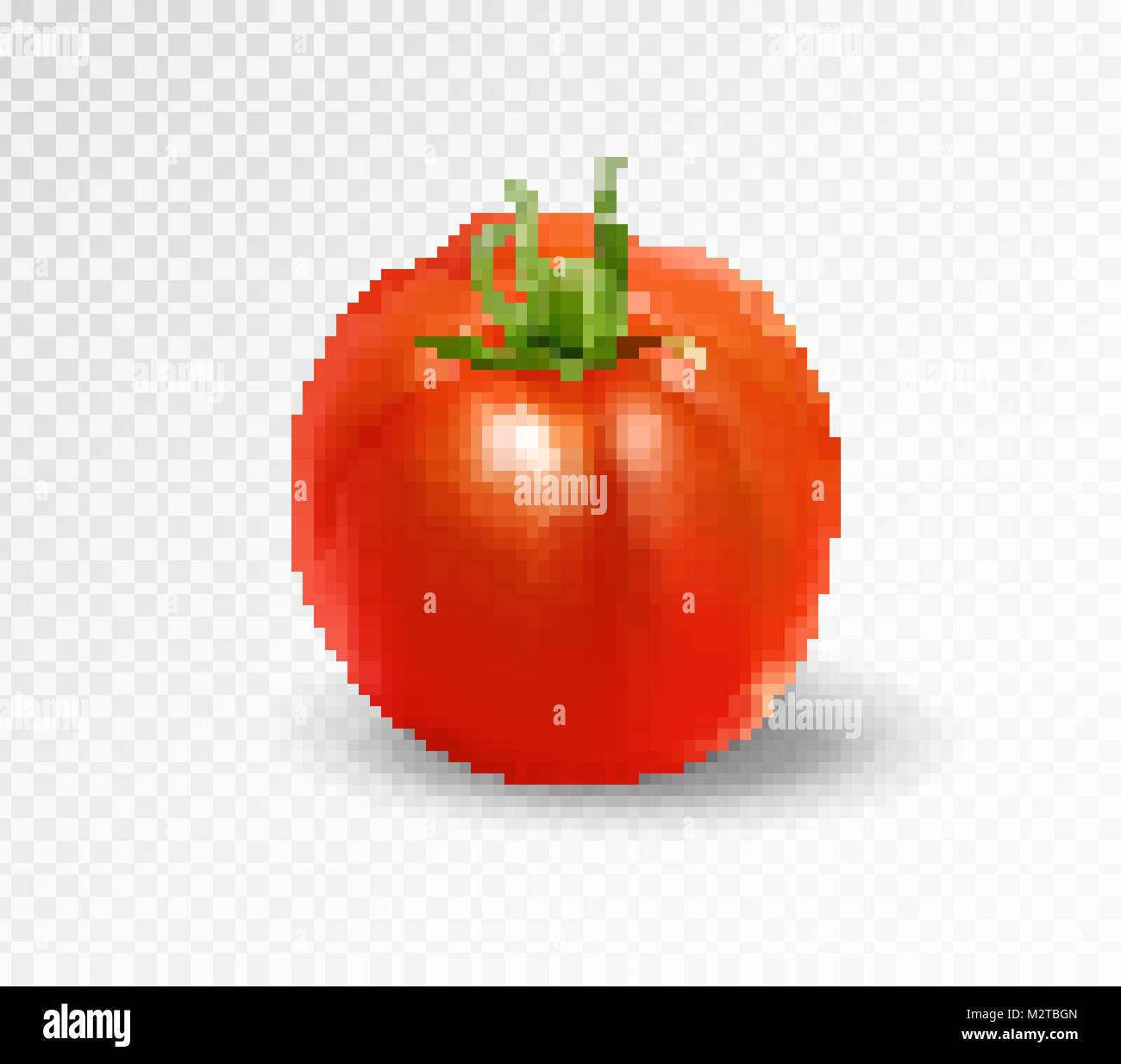 Red tomato. Realistic vector illustration Stock Vector Image & Art - Alamy
