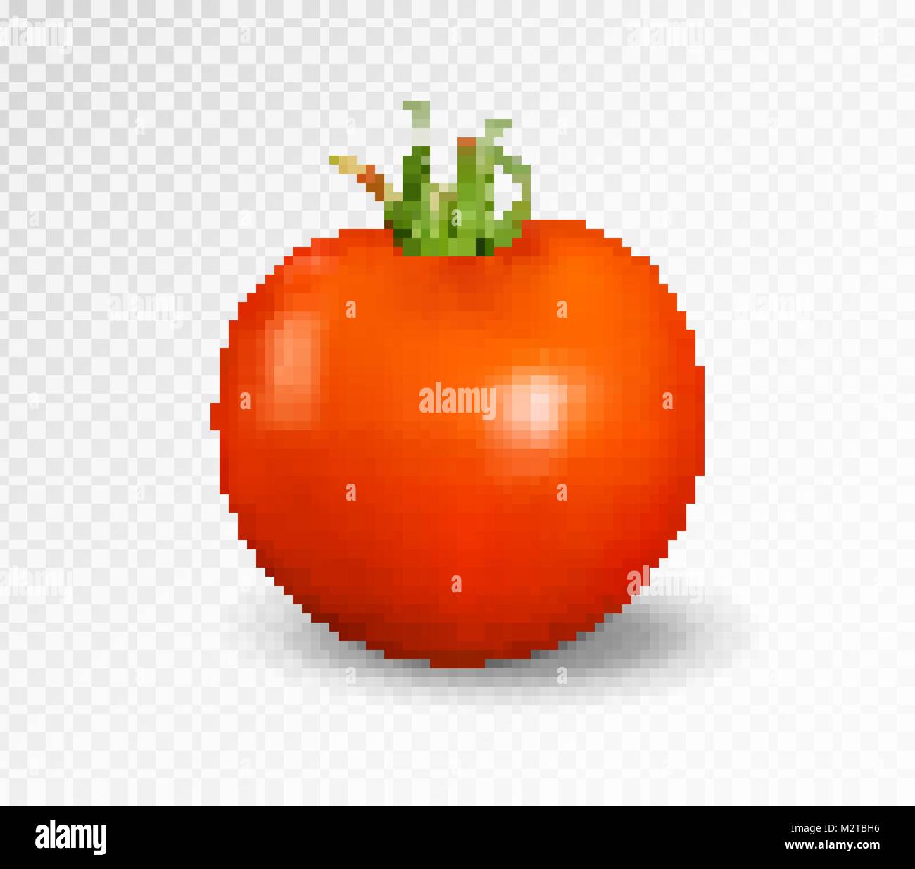 Red tomato. Realistic vector illustration Stock Vector Image & Art - Alamy