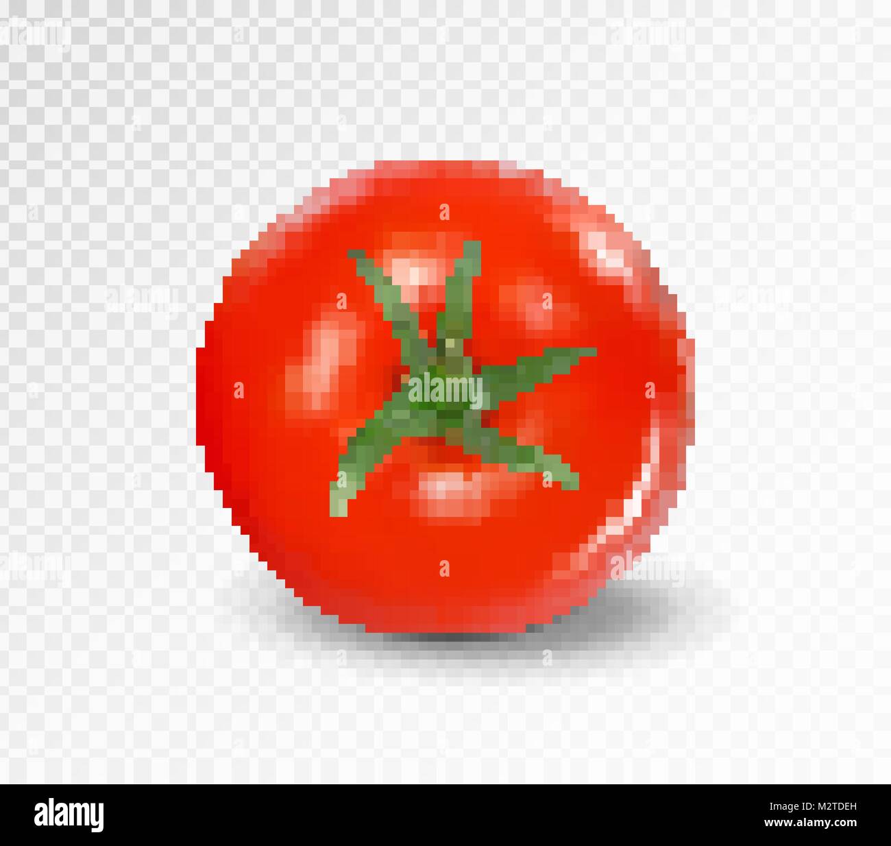 Tomato top side. Realistic vector. Red tomato without tail Stock Vector ...