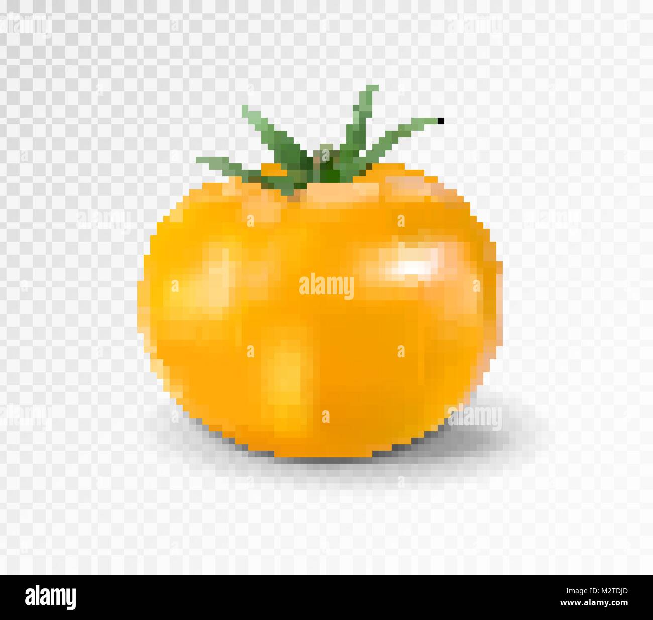 Yellow tomato. Realistic vector illustration Stock Vector Image & Art ...