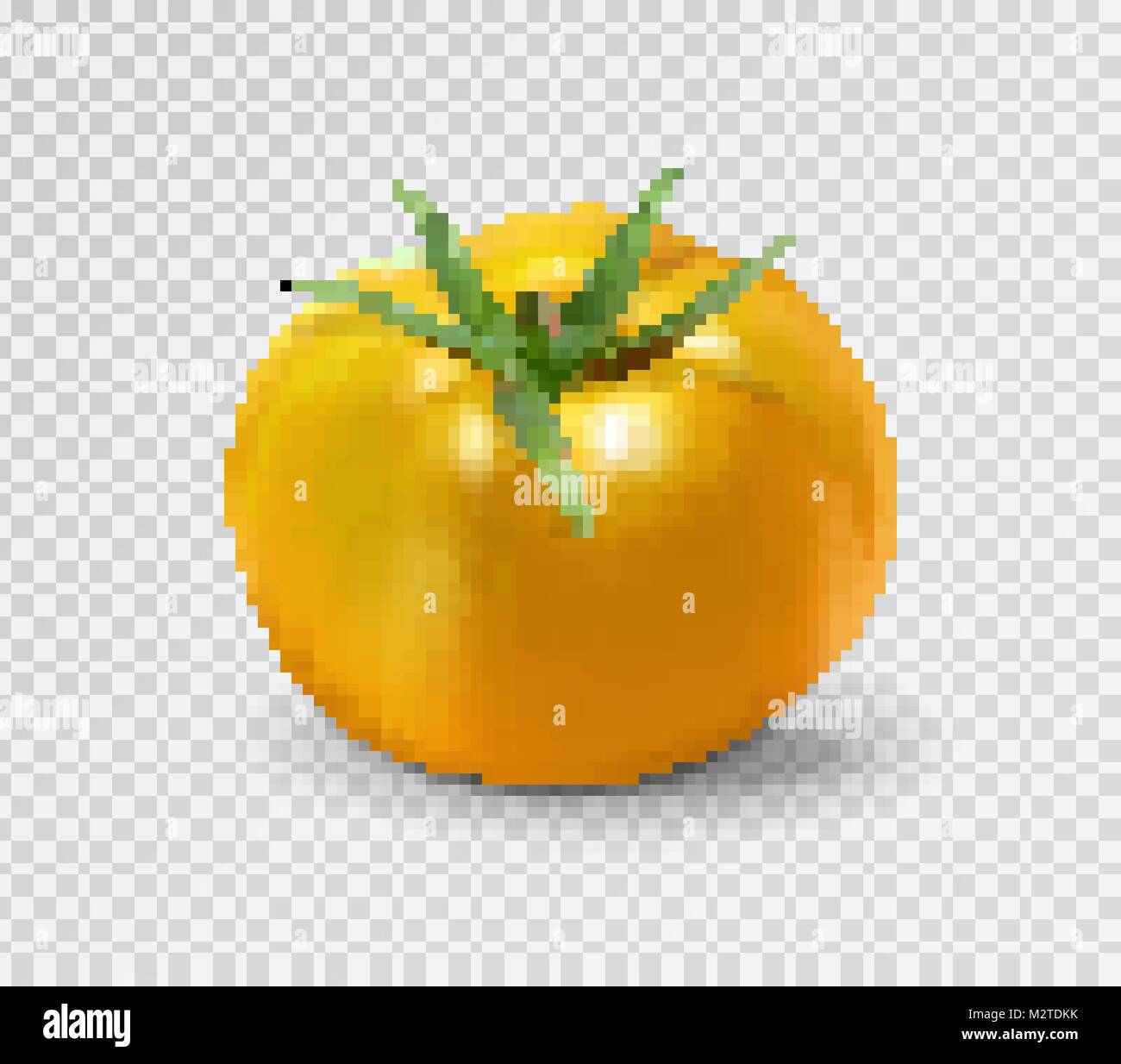 Yellow tomato. Realistic vector illustration Stock Vector Image & Art ...